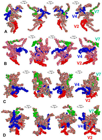 Molecular Apomorphies in the Secondary and Tertiary Structures of ...