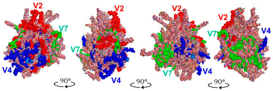 Molecular Apomorphies in the Secondary and Tertiary Structures of ...