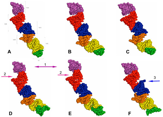 Molecular Apomorphies in the Secondary and Tertiary Structures of ...
