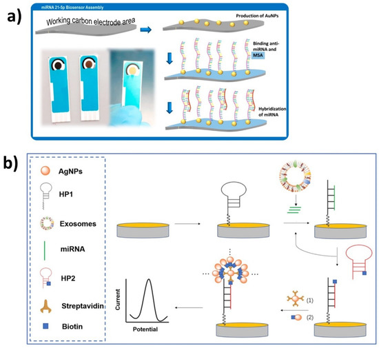 IJMS | Free Full-Text | microRNA Detection via Nanostructured Biochips ...