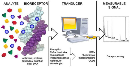 microRNA Detection via Nanostructured Biochips for Early Cancer Diagnostics