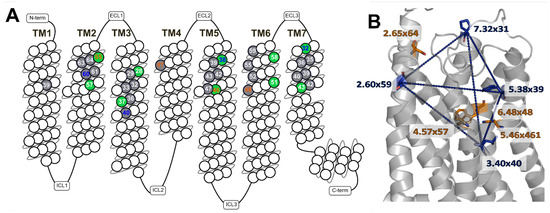 Improving the Modeling of Extracellular Ligand Binding Pockets in ...