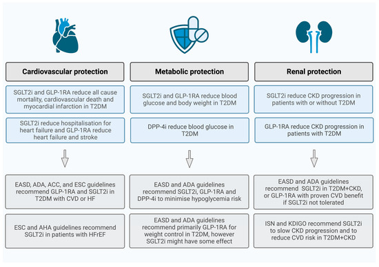 IJMS | Free Full-Text | An Overview of the Cardioprotective Effects of Novel Antidiabetic ...