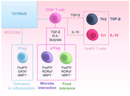 Enhancing Regulatory T Cells to Treat Inflammatory and Autoimmune Diseases