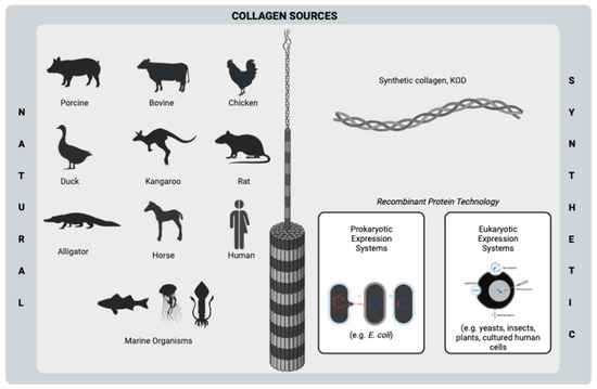 Recent Advances in Collagen Antimicrobial Biomaterials for Tissue ...