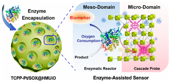 IJMS | Free Full-Text | Metal-Organic Framework (MOF)—A Universal ...