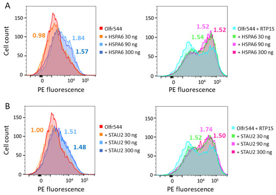 Identification and Characterization of Proteins That Are Involved in RTP1S-Dependent Transport ...