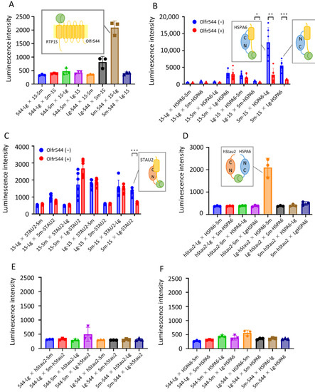 Identification and Characterization of Proteins That Are Involved in RTP1S-Dependent Transport ...