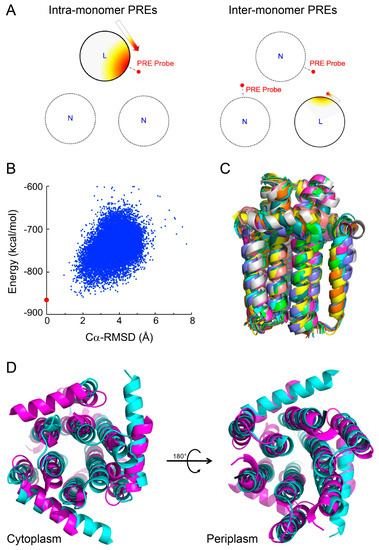 IJMS | Free Full-Text | Recent Advances in NMR Protein Structure ...