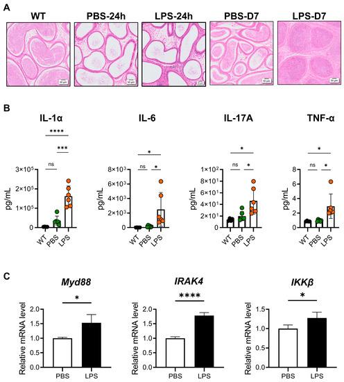 Myd88 Signaling Is Involved in the Inflammatory Response in LPS-Induced ...