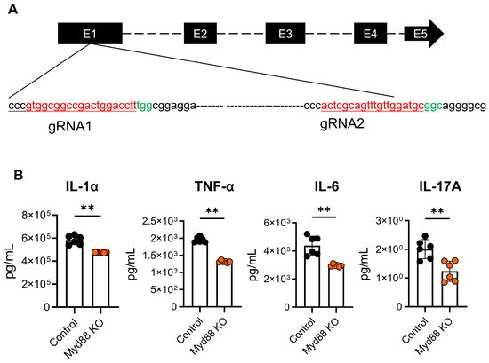 Myd88 Signaling Is Involved in the Inflammatory Response in LPS-Induced ...