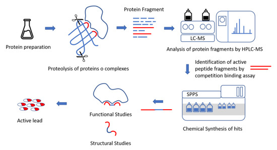 Targeting Protein–Protein Interfaces with Peptides: The Contribution of ...