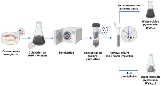 In Vitro and In Vivo Biocompatibility of Natural and Synthetic ...
