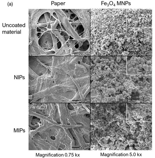Optimization of Magnetic and Paper-Based Molecularly Imprinted Polymers ...