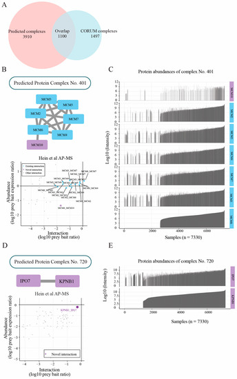Identification of Protein Complexes by Integrating Protein Abundance and Interaction Features ...