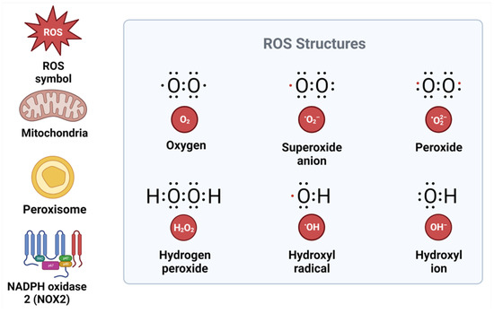 Mechanisms of Oxidative Stress in Metabolic Syndrome
