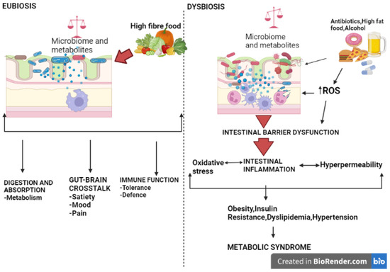 Mechanisms of Oxidative Stress in Metabolic Syndrome