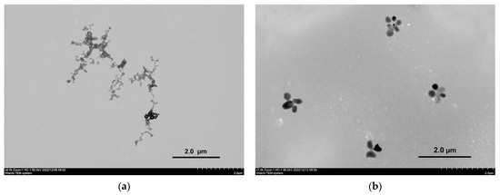 Emergence of Nanoscale Drug Carriers through Supramolecular Self ...