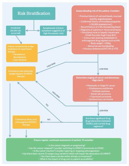 Bridging the Gap in Cancer-Related Stroke Management: Update on ...