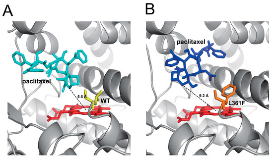 Functional Characterization of Allelic Variations of Human Cytochrome ...