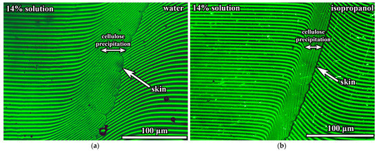 IJMS | Free Full-Text | The Effect of Non-Solvent Nature on the ...