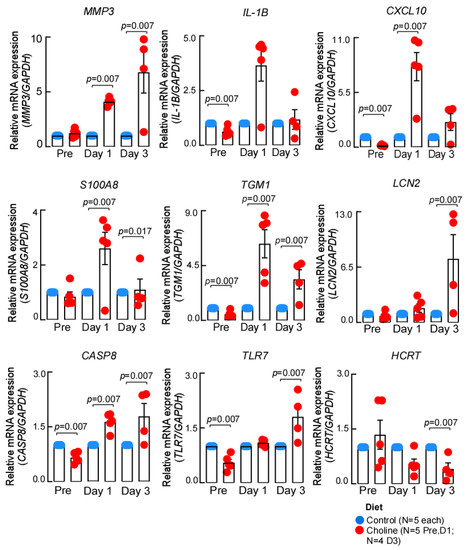 Exploratory Transcriptomic Profiling Reveals the Role of Gut Microbiota ...