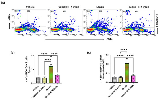 Inhibition of ITK Signaling Causes Amelioration in Sepsis-Associated ...