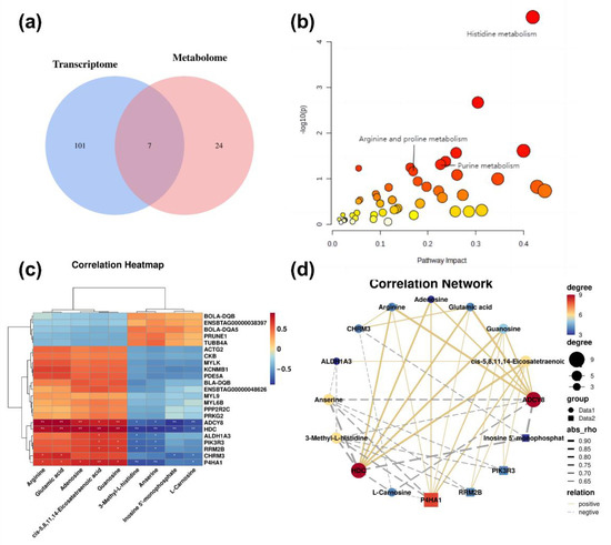Combined Transcriptome and Metabolome Analysis of Smooth Muscle of ...