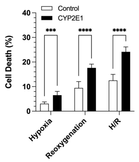 Generation and Characterization of CYP2E1-Overexpressing HepG2 Cells to ...