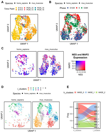 Single-Cell Transcriptomics Reveals Conserved Regulatory Networks in ...