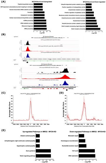MYCN Amplification Is Associated with Reduced Expression of Genes ...