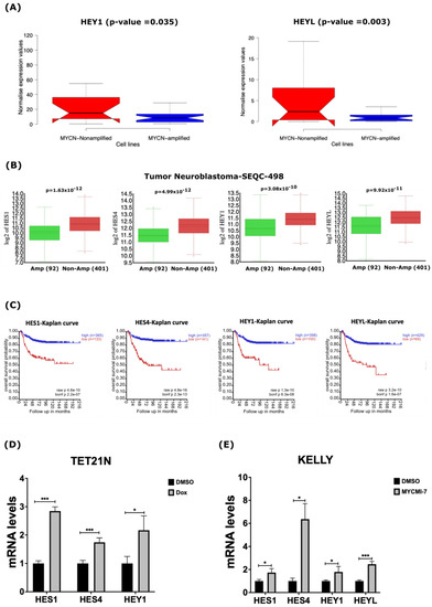 MYCN Amplification Is Associated with Reduced Expression of Genes ...