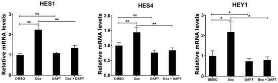 MYCN Amplification Is Associated with Reduced Expression of Genes ...
