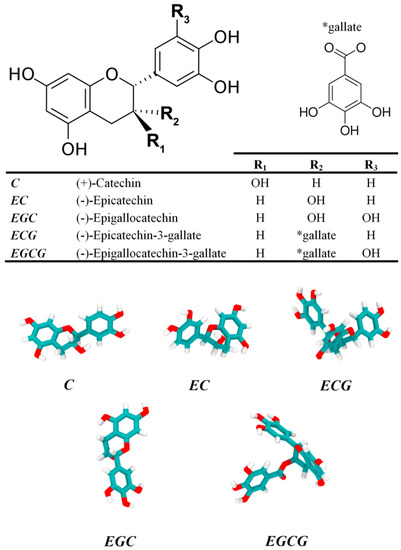 Identification of Catechins’ Binding Sites in Monomeric Aβ42 through ...