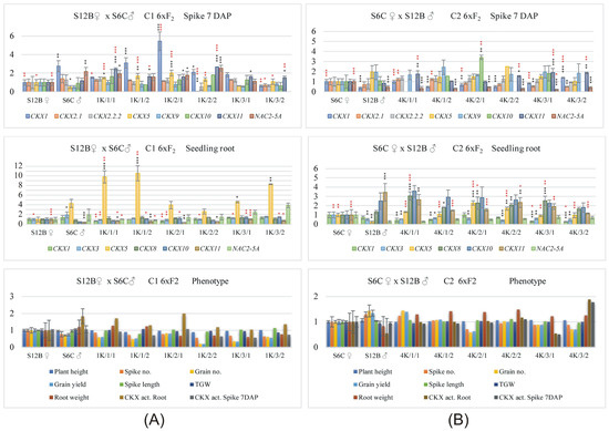 Transgenerational Paternal Inheritance of TaCKX GFMs Expression Patterns Indicate a Way to ...