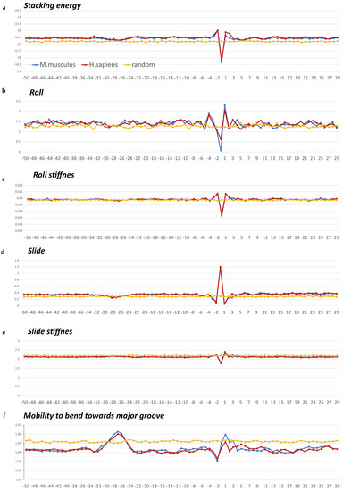 Core Promoter Regions of Antisense and Long Intergenic Non-Coding RNAs