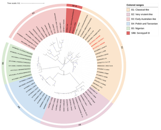 IJMS | Free Full-Text | Genetic Insight into the Interaction of IBDV ...