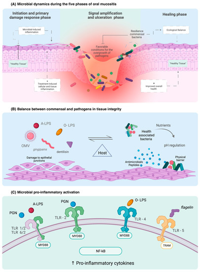 From Pathogenesis to Intervention: The Importance of the Microbiome in ...