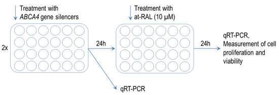 Role of the ABCA4 Gene Expression in the Clearance of Toxic Vitamin A ...