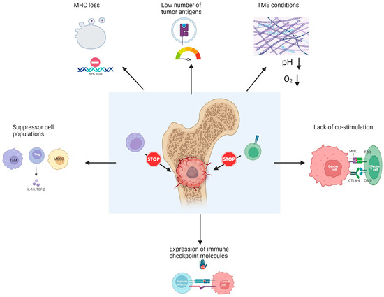 Prospects and Advances in Adoptive Natural Killer Cell Therapy for ...