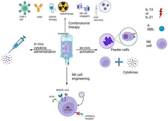 Prospects and Advances in Adoptive Natural Killer Cell Therapy for ...