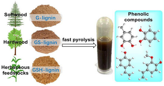 Structural Characteristics–Reactivity Relationships for Catalytic ...