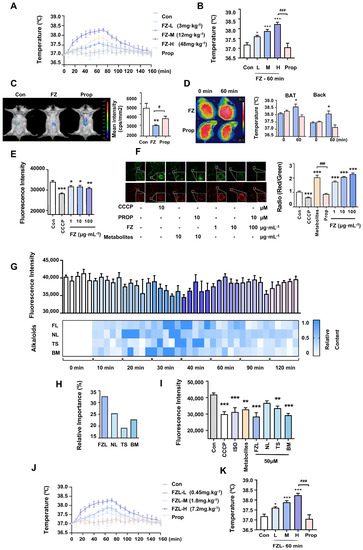 Fuziline Ameliorates Glucose and Lipid Metabolism by Activating Beta ...
