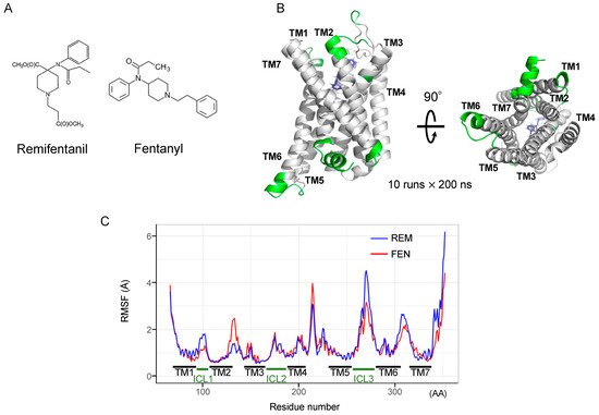 Distinct Profiles of Desensitization of µ-Opioid Receptors Caused by ...