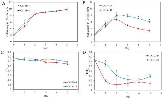 Palmelloid Formation and Cell Aggregation Are Essential Mechanisms for ...