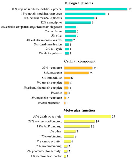 Palmelloid Formation and Cell Aggregation Are Essential Mechanisms for ...