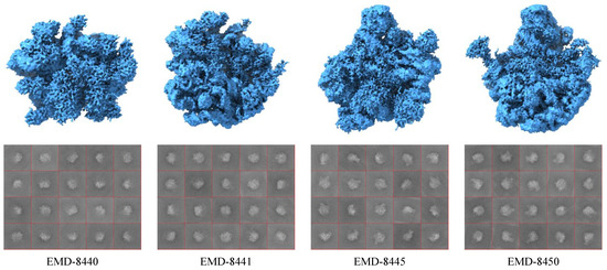IJMS | Free Full-Text | An Unsupervised Classification Algorithm for ...