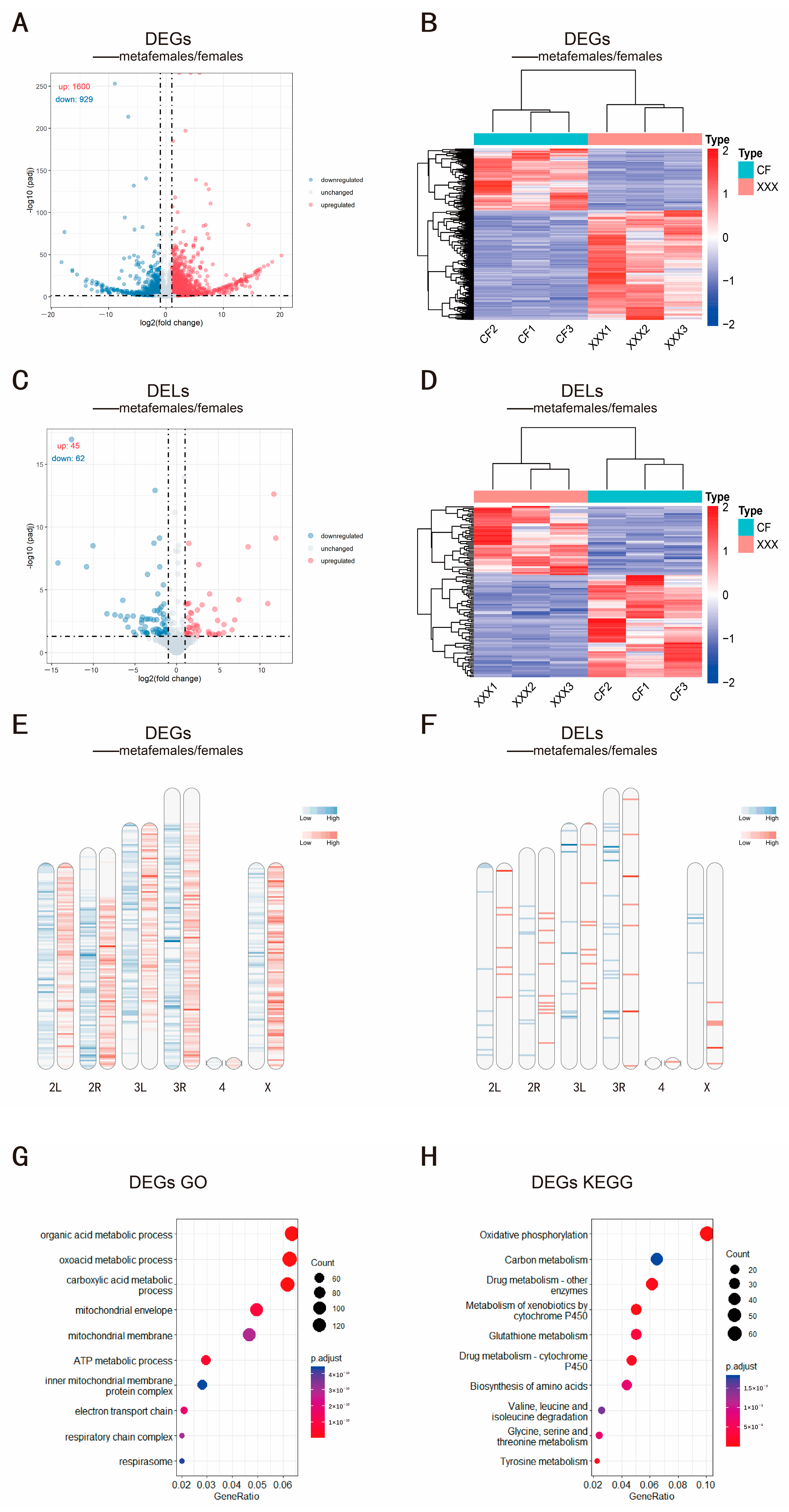 Ijms Free Full Text Genome Wide Expression Analysis Of Long