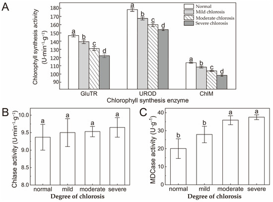 Identification of Photosynthesis Characteristics and Chlorophyll ...