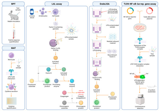 Heterogeneity of Lipopolysaccharide as Source of Variability in ...